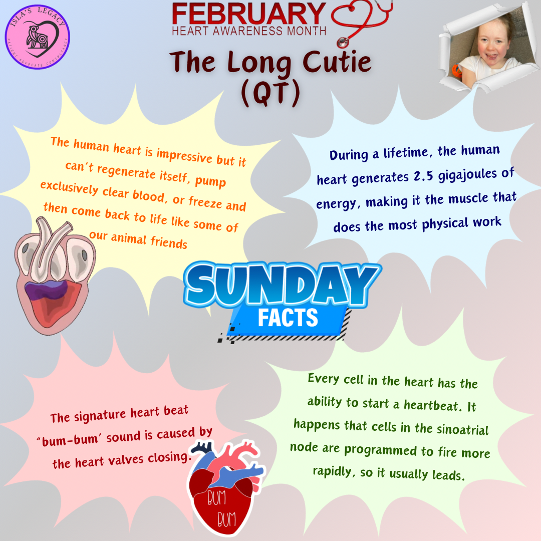 Heart facts 2 – The Long Cutie