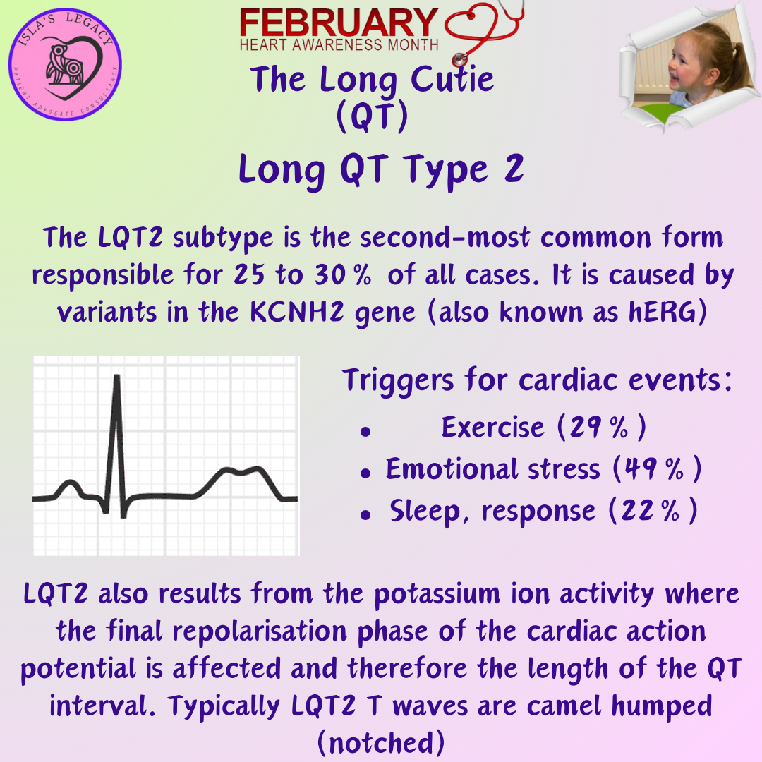 Long QT Type 2 – The Long Cutie
