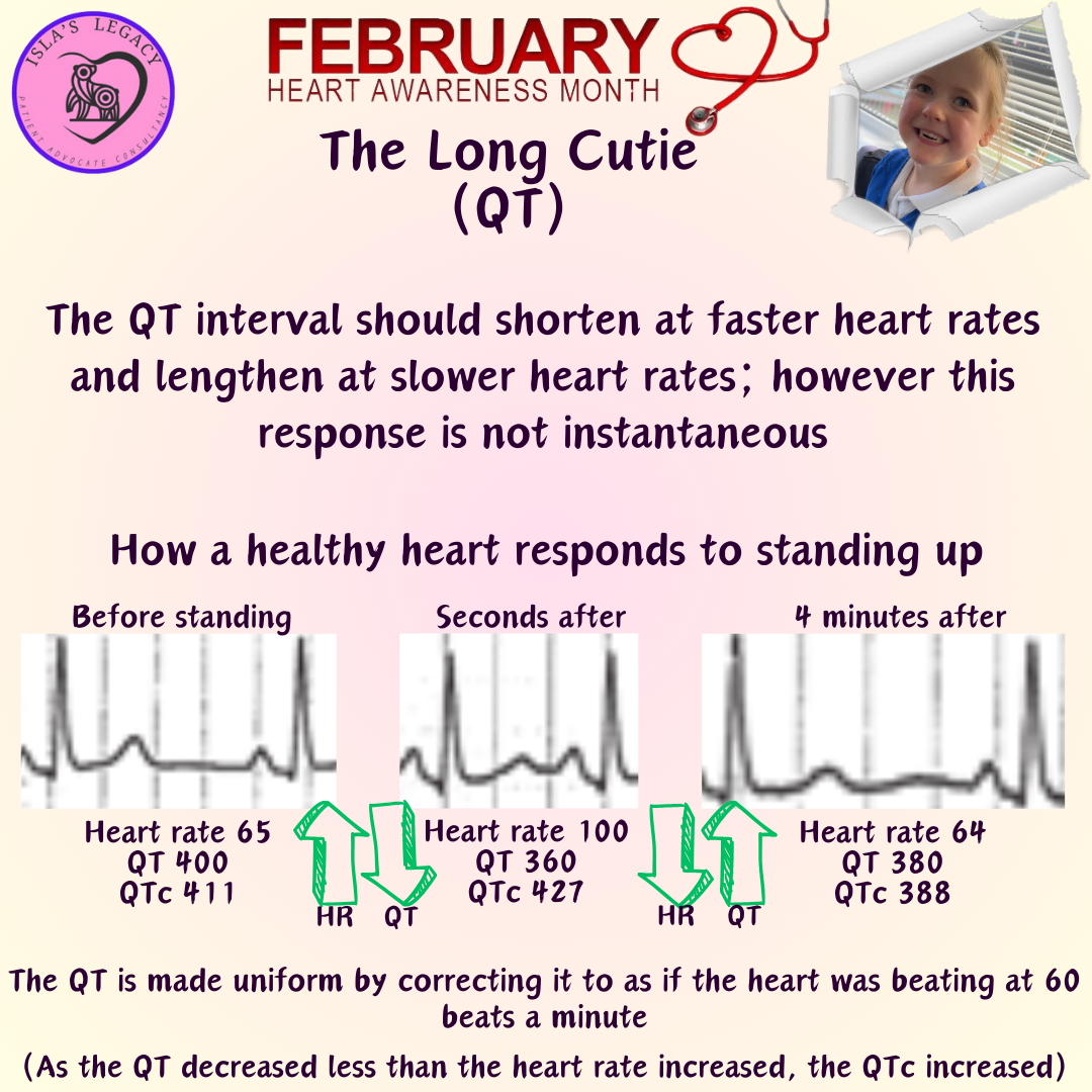 What happens to an LQTS heart? – The Long Cutie